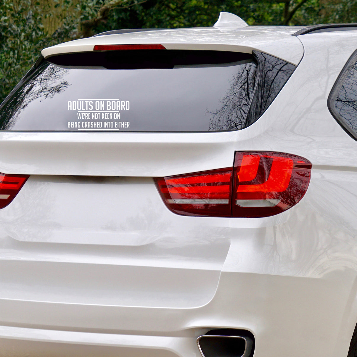 Adults on board | Bumper sticker | For cars, vans, campers & caravans ...